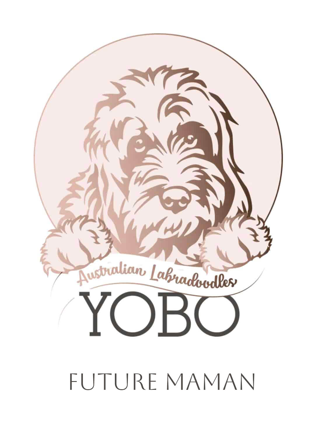 COMING SOON - YOBO Australien Labradoodles